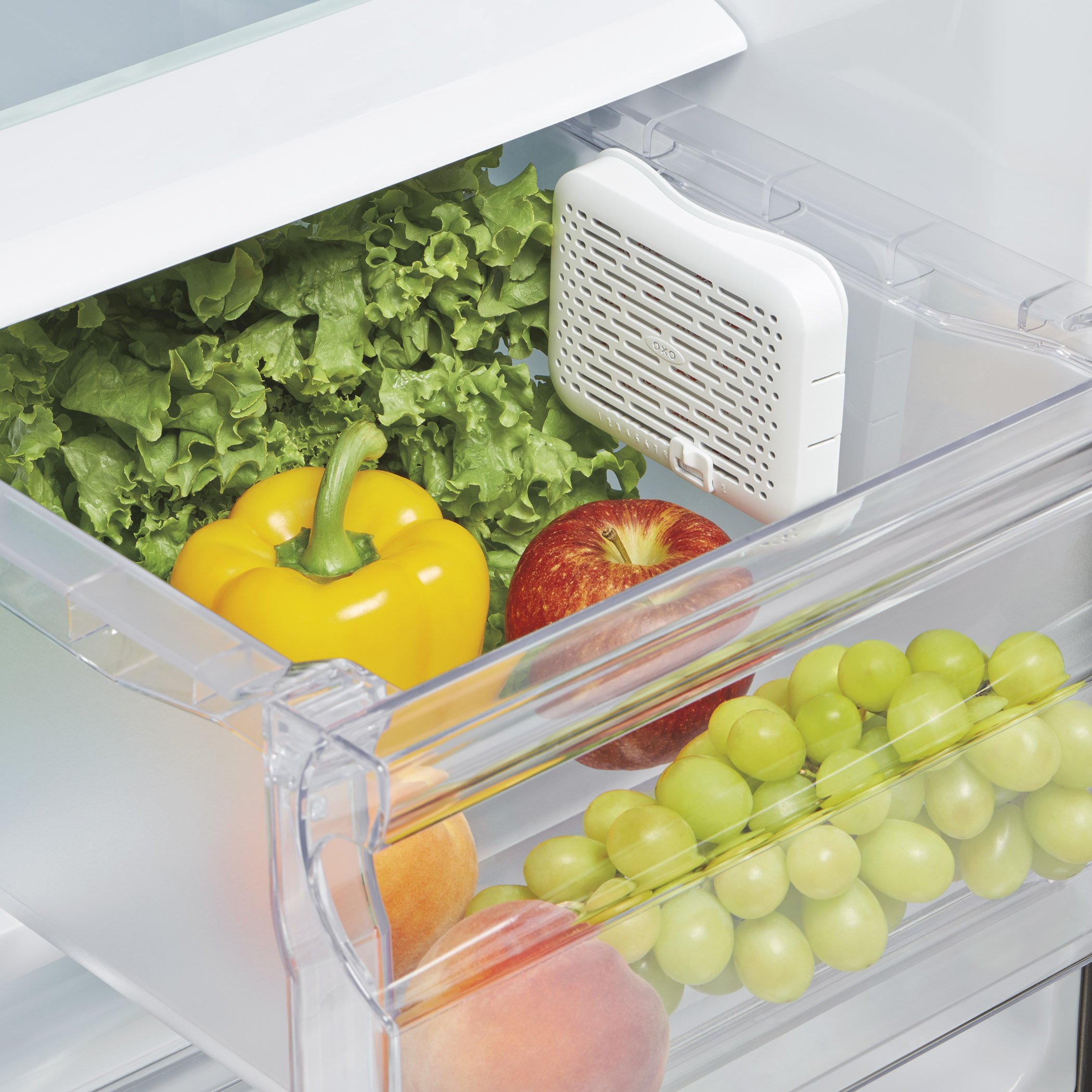 OXO Greensaver Crisper Insert 1-Pack