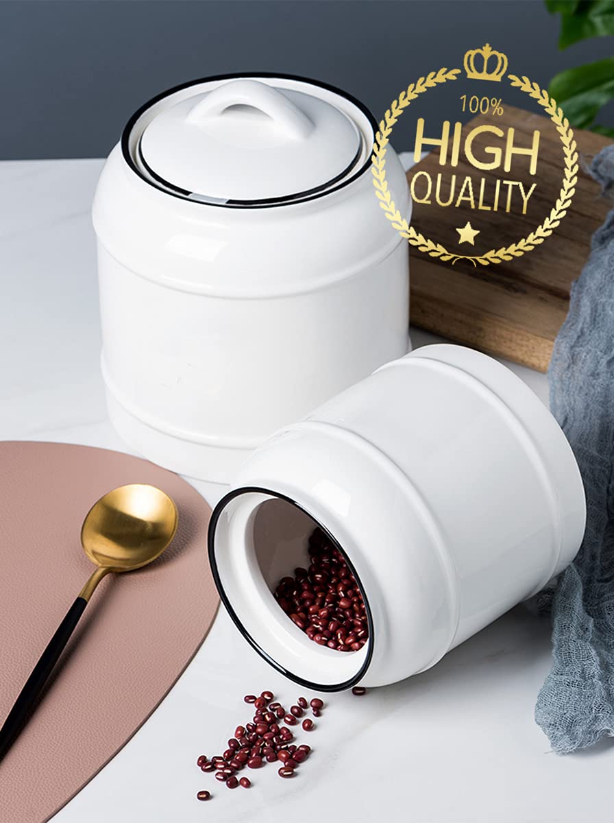 COCOYA 10cup/85oz Large Ceramics Jar with Lid,Big Dry Food Storage Canister Container Porcelain Kitchen Countertop Pantry Farmhouse Round Heavy Store Candy Bean Flour Snacks Cookie Cereal (White)
