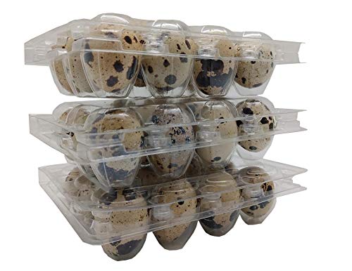 Quail Egg Plastic Cartons, Pack of 50 - Holds 12 Quail or Small Eggs - Food Grade Plastic (50 pack quail cartons) - Includes FREE Ebook with Recipes