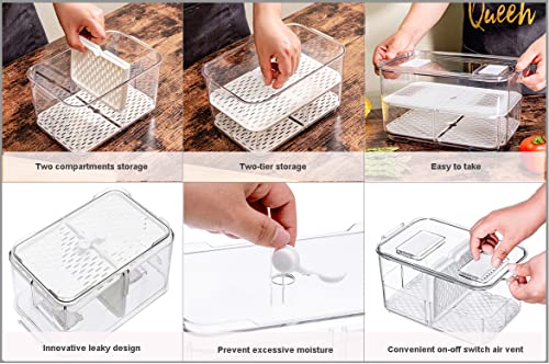 SANNO Produce Saver Storage Containers, Vegetable Fruit Storage Large Containers Bins, Refrigerator Fridge Stackable Bins Fresh Keeper with Lids and Vents,Stackable Salad Lettuce Keeper,2 Pack