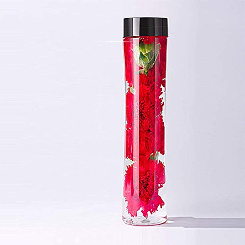 12.5oz (360 ml 12 Pack) Clear Empty Plastic Sensory Bottles with Smooth Lids and Labels - Round Plastic Test Tubes with Screw Caps for Party Gum Balls,Event Jelly Beans - BPA Free (Black Lids)