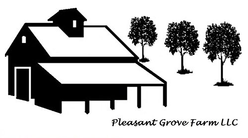 Pleasant Grove Farm 7 Mil Mylar Bags in Multiple Sizes (100, 2 QUART (8 x 12 inch))