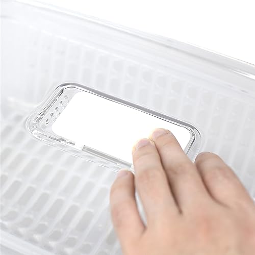 Home Basics Clear Fruit and Vegetable Fridge Storage Container Medium Produce Saver with Lid and Removable Colander | Adjustable Air Vent on Lid