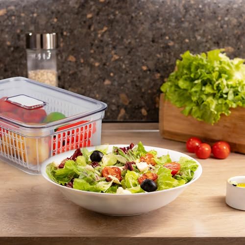 Home Basics Clear Fruit and Vegetable Fridge Storage Container Medium Produce Saver with Lid and Removable Colander | Adjustable Air Vent on Lid