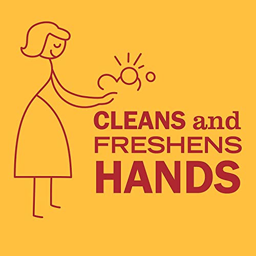 MRS. MEYER'S CLEAN DAY Hand Soap, Made with Essential Oils, Biodegradable Formula, Clementine (12.5 Fl Oz (Pack of 2))