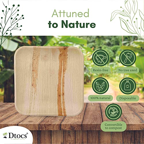 Dtocs Palm Leaf Plates 10 Inch Square 50 Pack Dinner Plate | Disposable Bamboo Plate Like Compostable Plates, Charcuterie Board, Cheese Platter | Wedding Plate Set Better Than Paper Plates