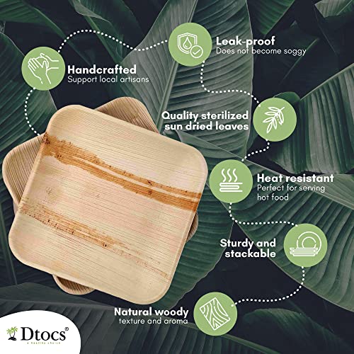 Dtocs Palm Leaf Plates 10 Inch Square 50 Pack Dinner Plate | Disposable Bamboo Plate Like Compostable Plates, Charcuterie Board, Cheese Platter | Wedding Plate Set Better Than Paper Plates