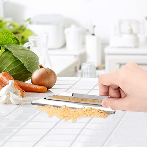 Table Crumb Sweeper, Crumb Sweeper for Tablecloth, Crumb Scraper Cumb Catcher on Table, Server Tools Stainless Steel Crumbers for Servers, Waiters and Waitresses