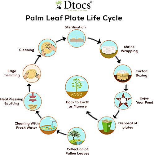 Dtocs Palm Leaf Plates Pack 50, 7 Inch Square | Eco-friendly, Compostable, Natural, Biobased, Organic Disposable Party Plates For Wedding, Camping, Birthday Dinner | Better Than Bamboo, Paper Plates.