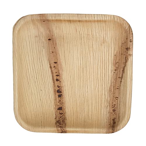 Dtocs Palm Leaf Plates Pack 50, 7 Inch Square | Eco-friendly, Compostable, Natural, Biobased, Organic Disposable Party Plates For Wedding, Camping, Birthday Dinner | Better Than Bamboo, Paper Plates.