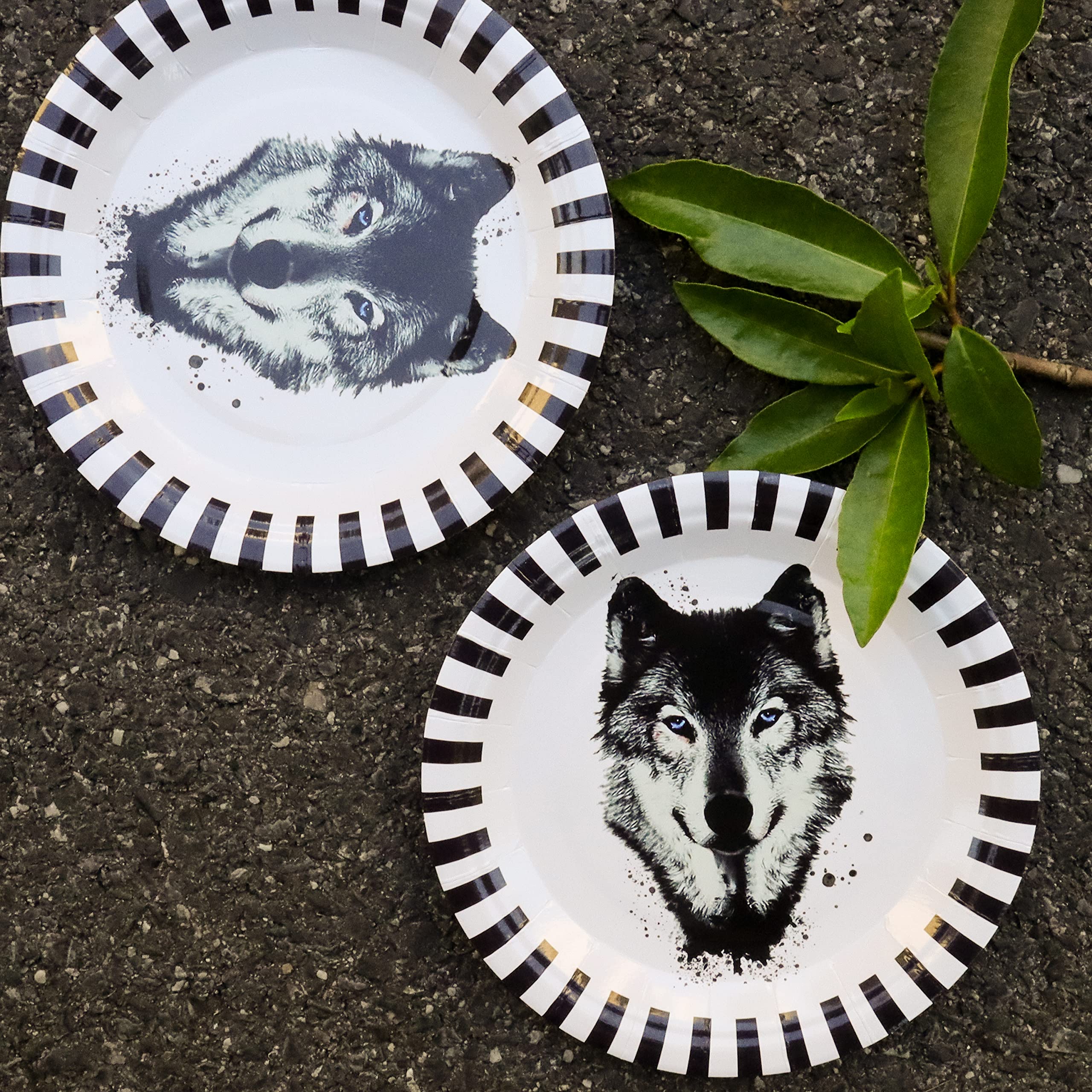 Pandecor 50 Pieces Wolf Birthday Paper Dessert Plates,7 Inches Disposable Animal Wolf Party Cake Plates for Birthday Party