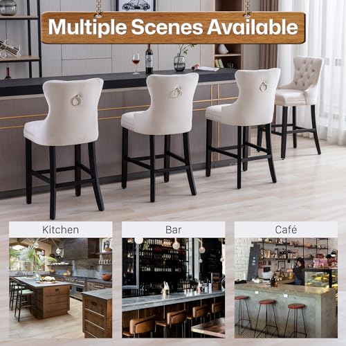 GOOLON Bar Stools Set of 2, Velvet 26 Inch Seat Height Counter Height Barstools with Back, Rivet Trim Bar Chairs for Kitchen Island Metal Pull Ring Wood Legs, Beige