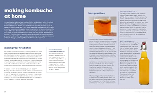 The Complete Guide to Healthy Drinks: Powerhouse Ingredients, Endless Combinations