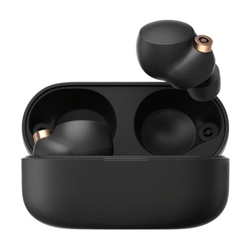 Sony WF-1000XM4 True Wireless Noise Canceling Headphones (Black) with Knox Gear silicone carrying case with carabiner for Sony WF-1000XM4 Earbuds bundle (2 items)