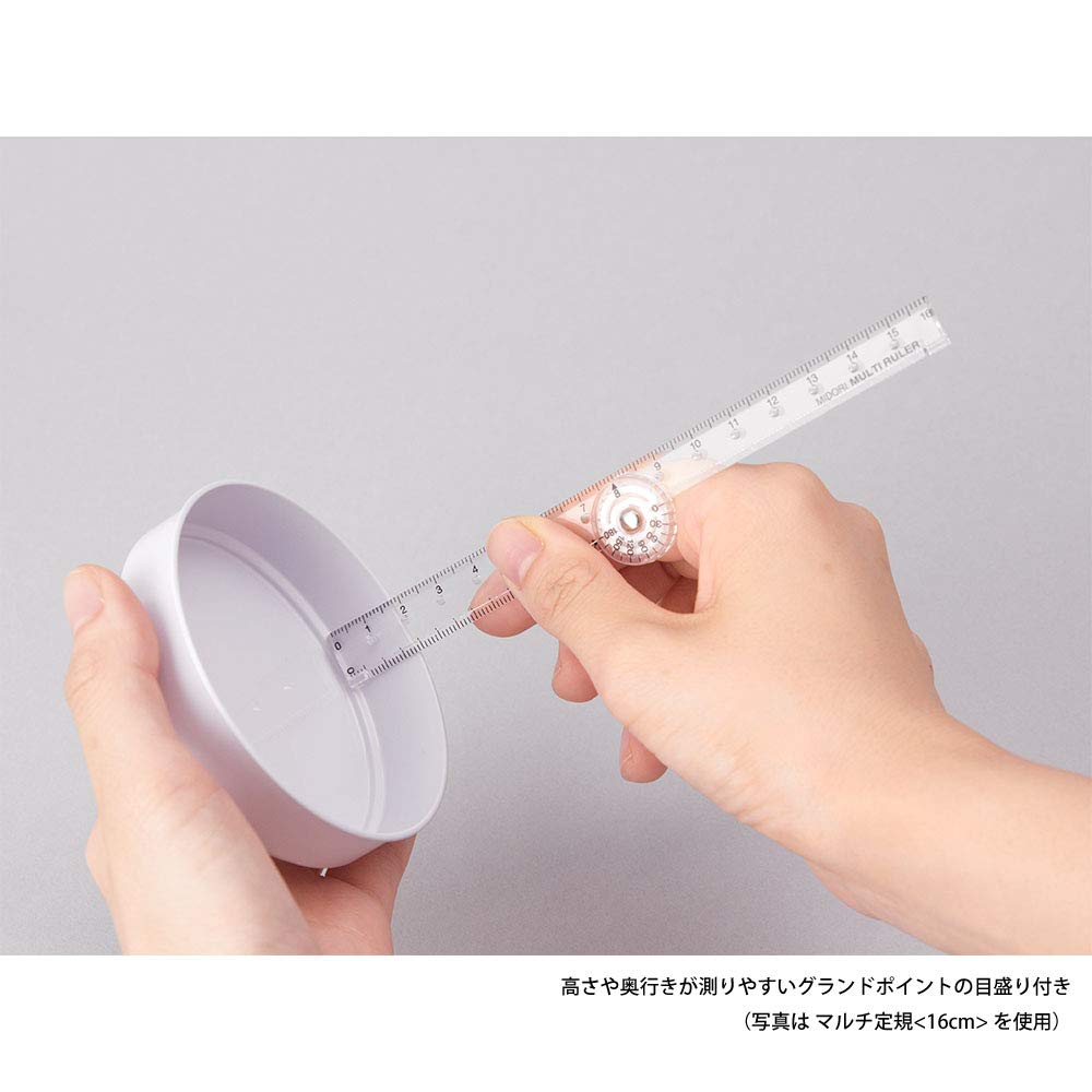 DESIGNPHIL 42266006 Multi Ruler, 11.8 inches (30 cm), Transparent