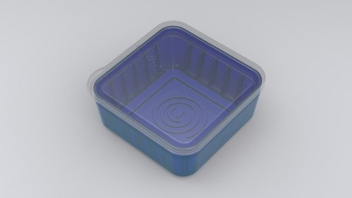Frego 798304217261 Food Container, 2-Cup, Orange