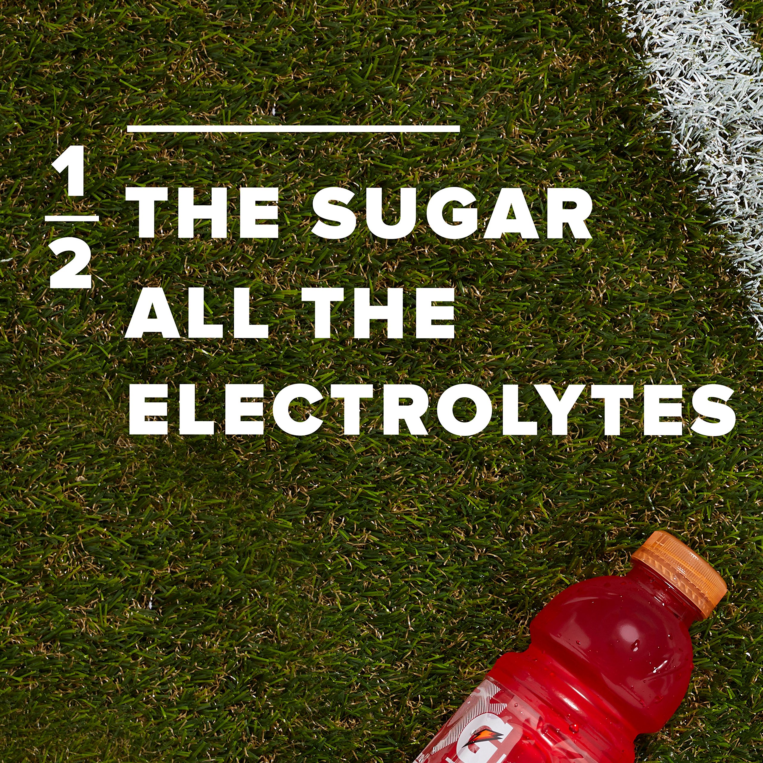 Gatorade G2 Thirst Quencher, Lower Sugar, Fruit Punch, 12 Ounce Bottles (Pack of 24)
