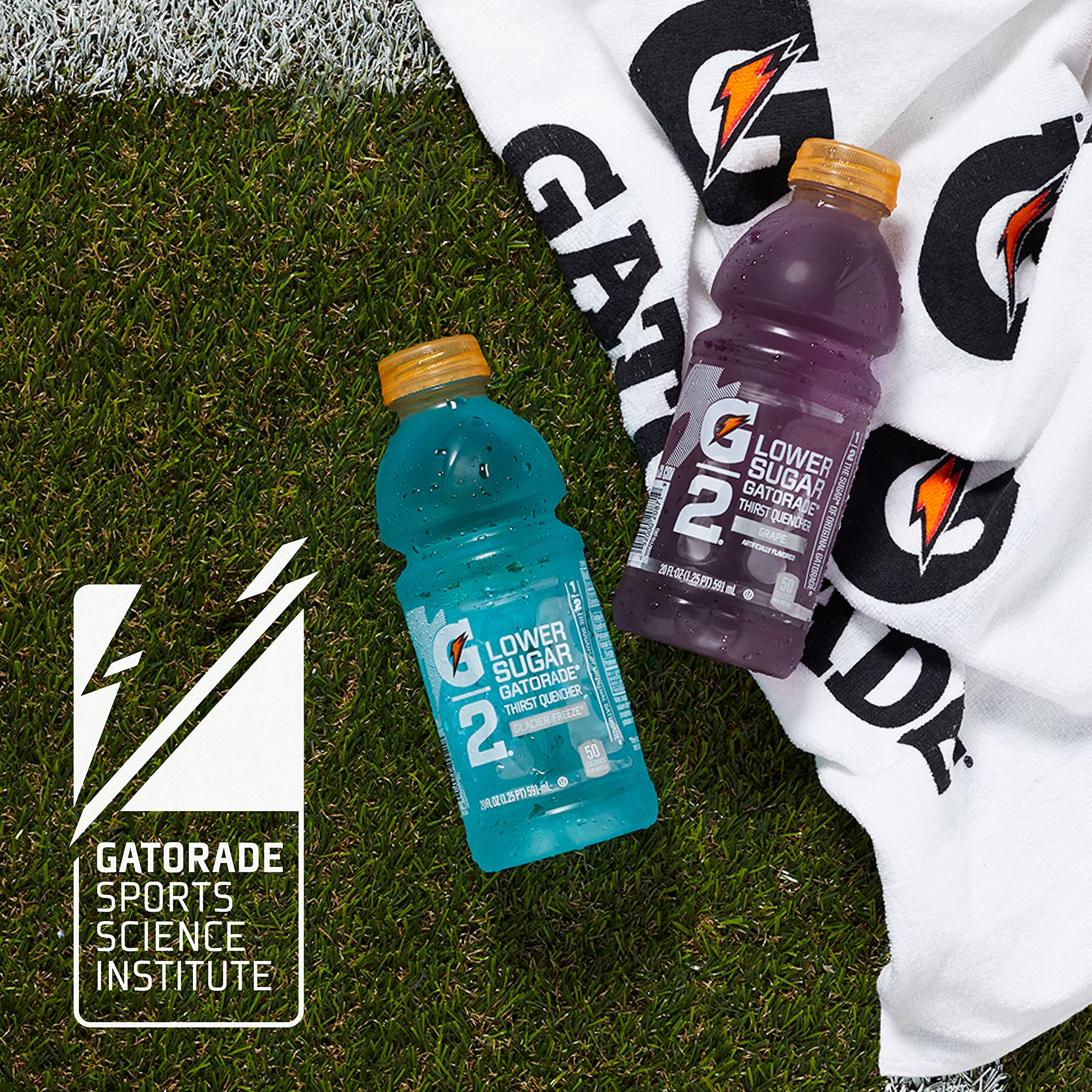Gatorade G2 Thirst Quencher, Lower Sugar, Fruit Punch, 12 Ounce Bottles (Pack of 24)