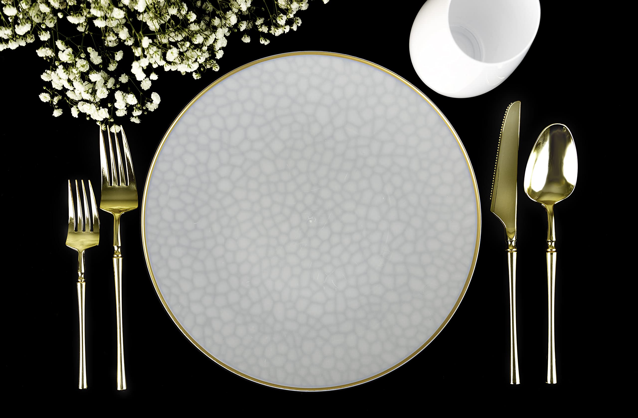 PLASTICPRO 30 Pack Hammered Plastic Plates Heavyweight Disposable Plastic Plates Elegant Transparent White With Gold Rim Platsic Party Dishes (Transparent White With Gold Rim, 9'' INCH PLATES)