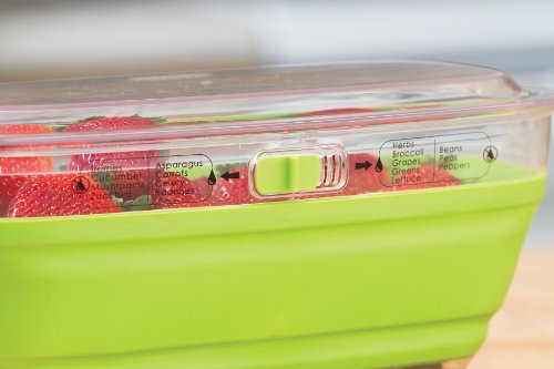 Prepworks by Progressive Collapsible Mini Produce Keeper - 2 Quart