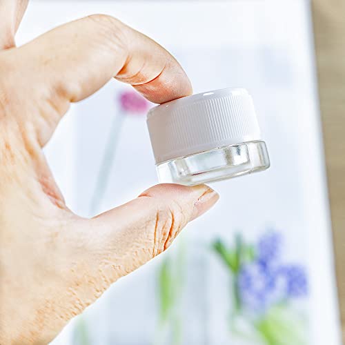 3Gram Cosmetic Containers 10pcs Sample Clear Round Glass Jars Tiny Makeup Sample Containers with White lids, Straight Sided Cosmetic Jars, Great for Body Butter, Creams, Stash Jars, Etc.