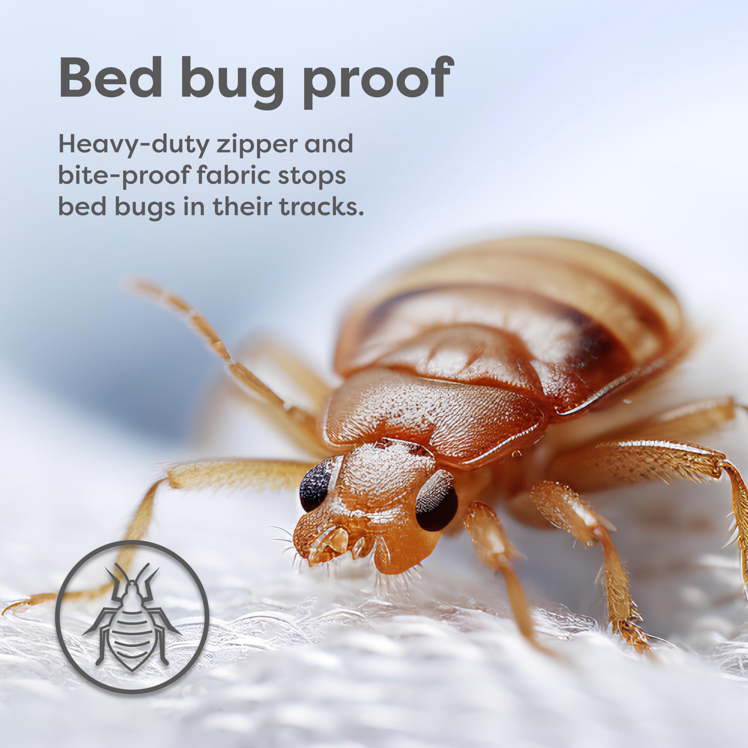 HOSPITOLOGY PRODUCTS Mattress Encasement - Zippered Bed Bug Dust Mite Proof Hypoallergenic - Sleep Defense System - Twin - Waterproof - Stretchable - Ultra Low Profile 6" Depth - 38" W x 75" L