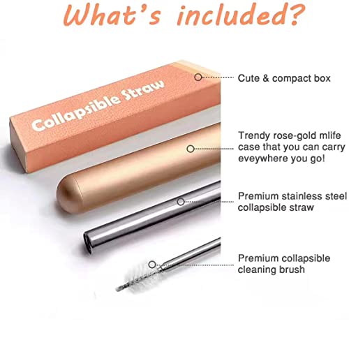 Buleila TELESCOPIC STRAW (BLUE CASE COLORFUL STRAW,PINK CASE SILVER STRAW,GOLD CASE ROSE GOLD STRAW,GREY CASE SILVER SREAW, 4)