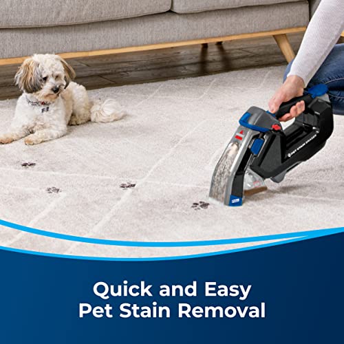 BISSELL Pet Stain Eraser Plus, 3181