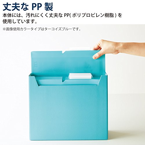 Kokuyo NEOS A4 File Folders, 0.6 Inches (15 mm) Depth, 3 Side Binding PP Type with A Customizable Tab, 10 Pack of Off White, Japan Import (A4P-NEF15WX10)