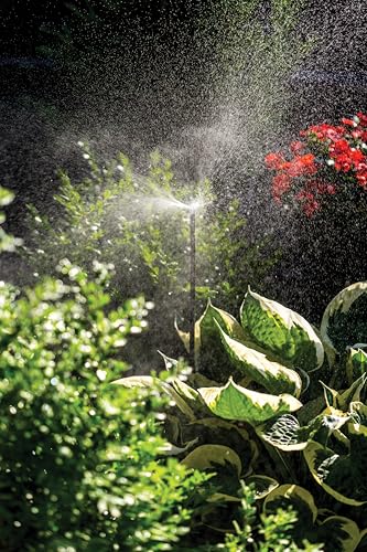 Rain Bird MSFFSTKX Drip Irrigation Close Coverage Fan Spray on Riser Stake, 360° Full Circle Pattern, 4' Spray Distance