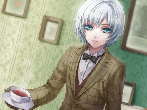 Will O' Wisp DS [Limited Edition] [Japan Import]