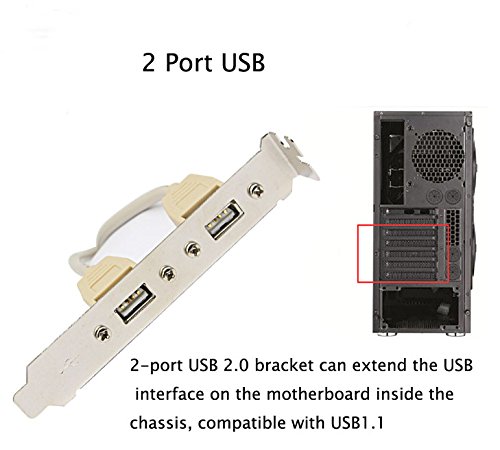 SinLoon (2-Pack Computer Cables & Connectors New 2 Port USB 2.0 Motherboard Rear Panel Expansion Bracket to IDC 9 Pin Motherboard USB Cable Host Adapter