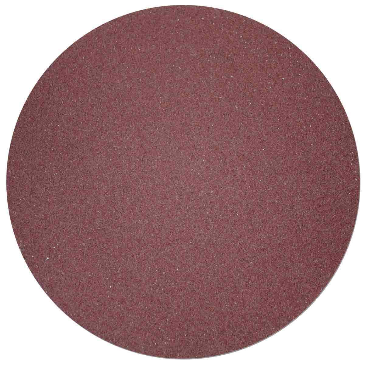 Radius 360 Sanding Discs (220 Grit - 5 Pack)