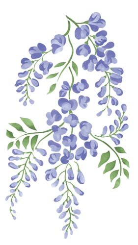 Designer Stencils Small Wisteria Wisp Wall Stencil 2412