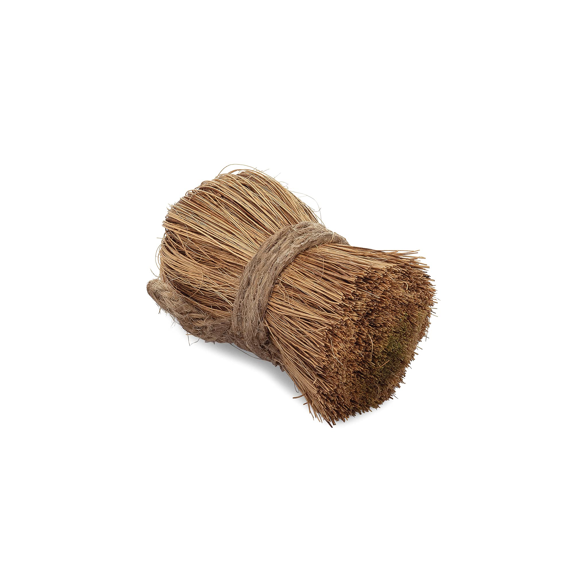 Full Circle Zero Waste Veggie Brush – Produce Brush for Food, Fruit & Vegetables - 100% Plant Based Natural Bristle Vegetable Brush – Compostable & Biodegradable