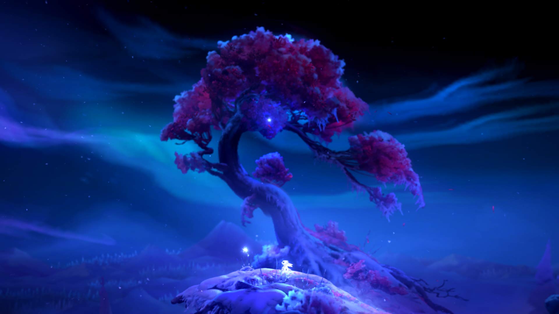 Ori and the Will of the Wisps (Nintendo Switch)