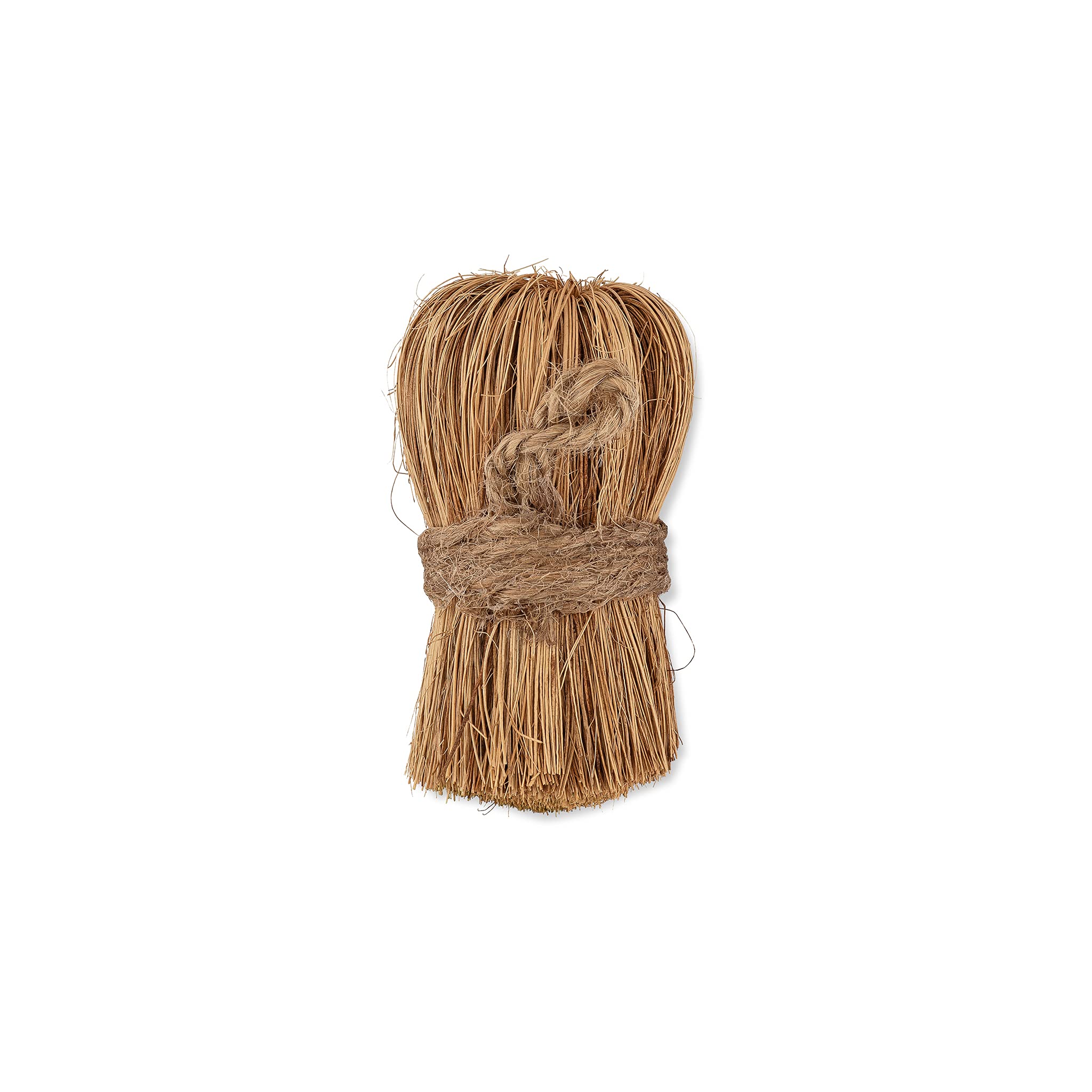 Full Circle Zero Waste Veggie Brush â Produce Brush for Food, Fruit & Vegetables - 100% Plant Based Natural Bristle Vegetable Brush â Compostable & Biodegradable
