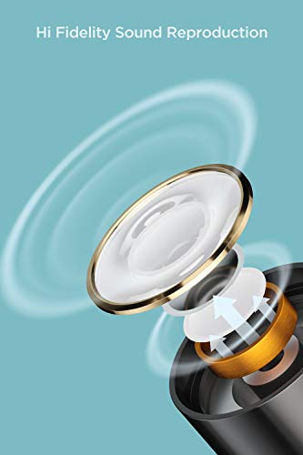 1MORE Stylish True Wireless in-Ear Headphones - Bluetooth - 6.5 Hours of Battery - 15-Minute Quick Charge for 3 Hours of Use β Portable Charging Headphone Case Included - True Wireless Earphones