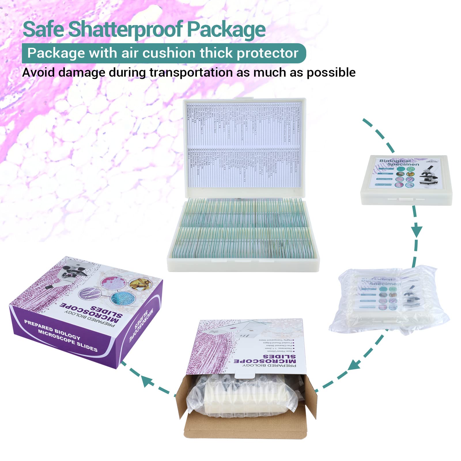 100Pcs Microscope Slides with Specimens, Prepared Microscope Sample with Insects Plants Animals for Kids Students Science Learning Homeschool Use