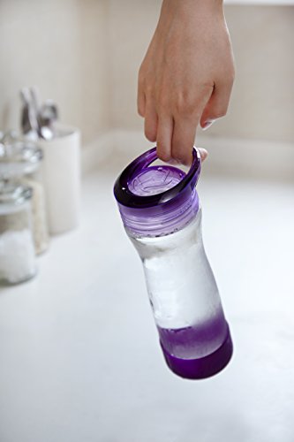 Full Circle Hydrate Mate 16-Ounce Glass Travel Water Bottle, Elderberry