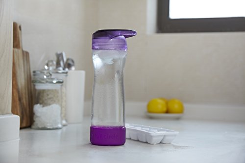 Full Circle Hydrate Mate 16-Ounce Glass Travel Water Bottle, Elderberry