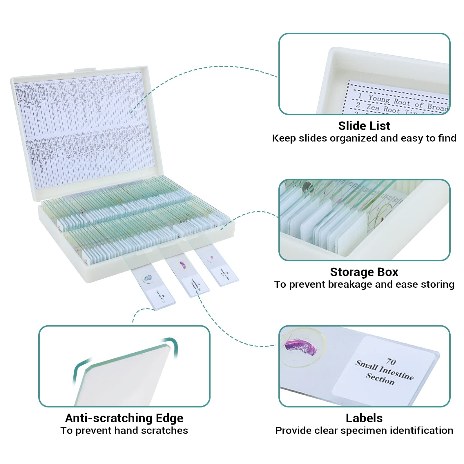 100Pcs Microscope Slides with Specimens, Prepared Microscope Sample with Insects Plants Animals for Kids Students Science Learning Homeschool Use