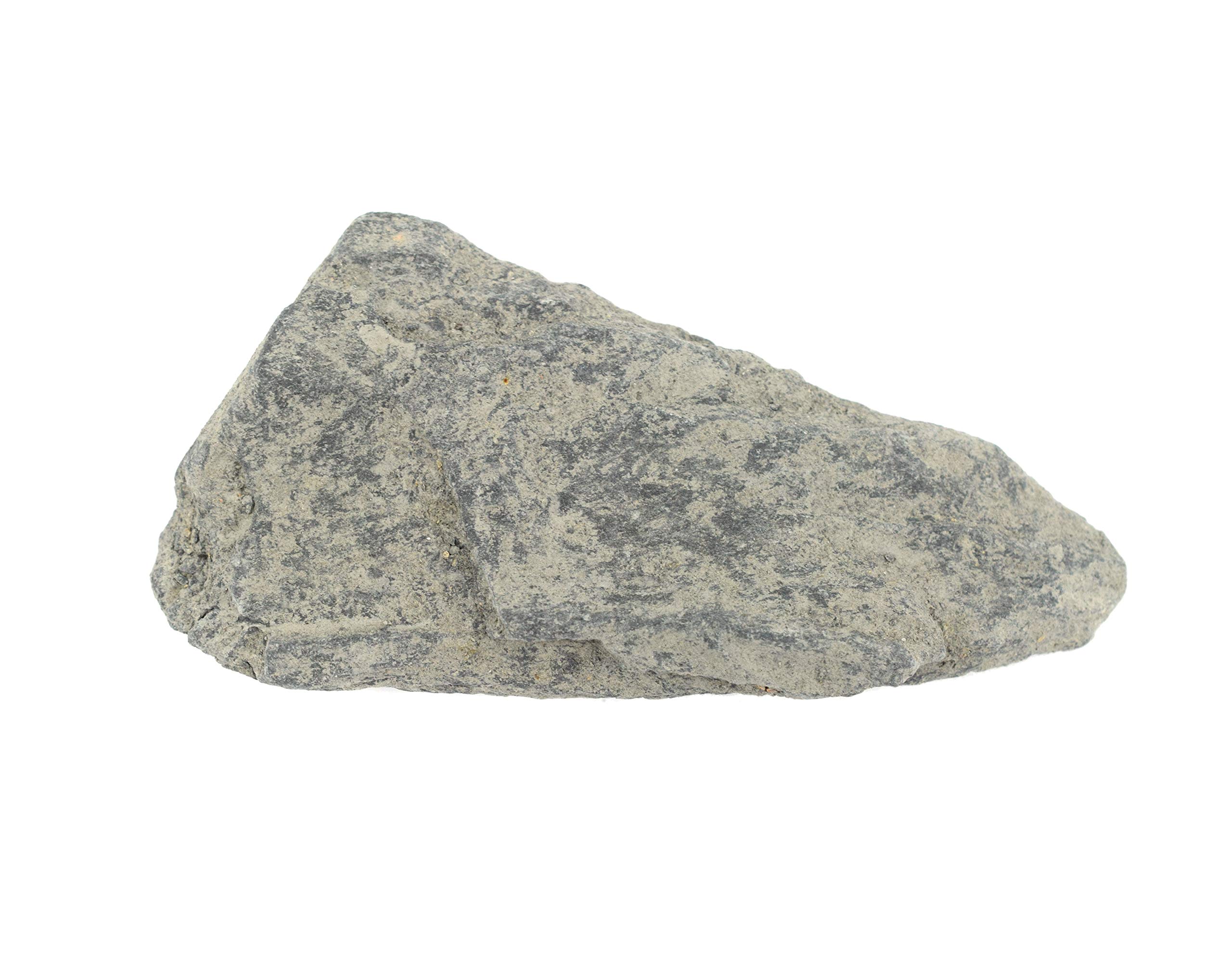 12PK Raw Phyllite, Metamorphic Rock Specimens - Approx. 1" - Geologist Selected & Hand Processed - Great for Science Classrooms - Class Pack - Eisco Labs
