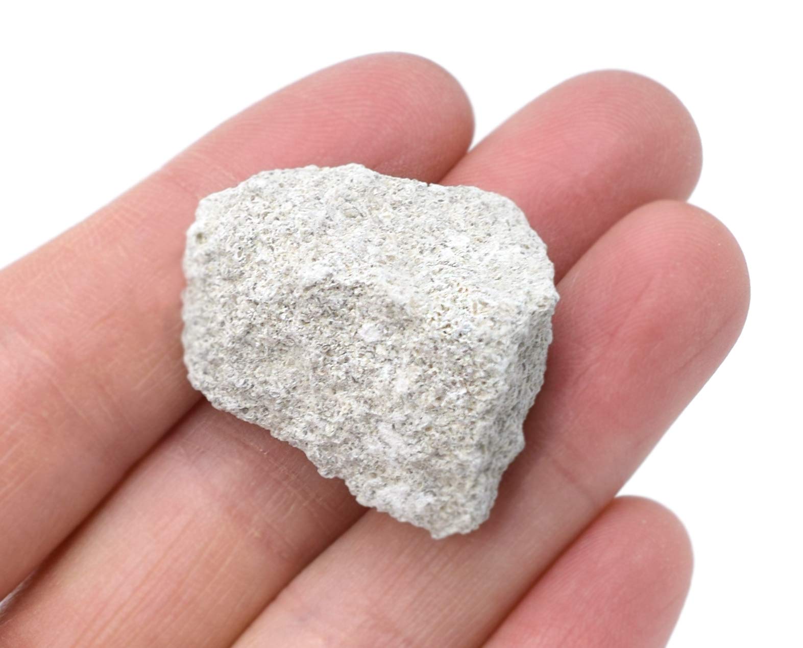 6PK Oolitic Limestone, Sedimentary Rock Specimens - Approx. 1" - Geologist Selected & Hand Processed - Great for Science Classrooms - Class Pack - Eisco Labs