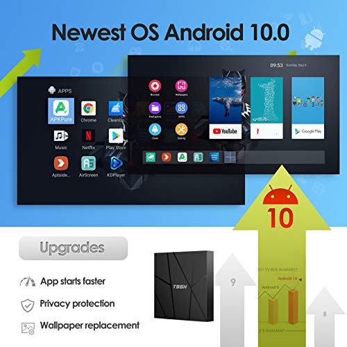T95H Android 10.0 TV Box, 1GB ROM 8GB eMMC H616 Quadcore Quad-core ARM Cortex-A53 Mali-G31 MP2 GPU 2.4GHz WiFi 100M LAN Ethernet