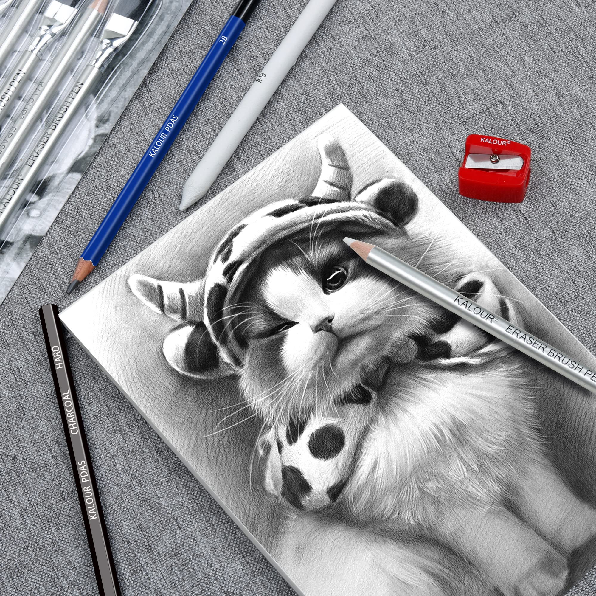 KALOUR Detail Eraser Pencil - 6pc Eraser Pencils with Brush and 2pc Sharpener,Erasing Small Details or add Highlights for Sketching, Charcoal Drawings. Fine Detail Eraser for Beginners & Artists