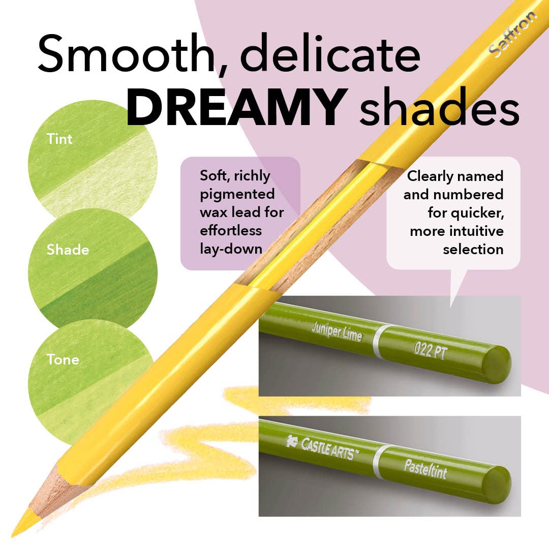 Castle Art Supplies 48 Pasteltint Coloured Pencils Set | Quality Colours in Softer, Sumptuous Tones | For Professional and Adult Artists | Protected and Organised in Presentation Tin Box