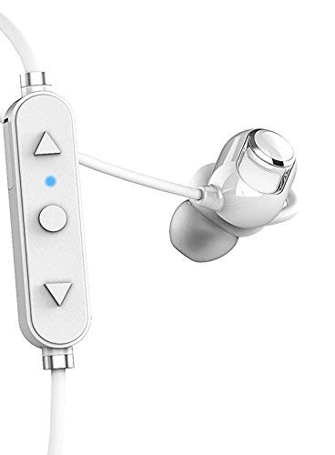 FiiO FB1 Wireless Earbuds,Bluetooth 4.1 Headphones Earphones Sports Earbuds w/Mic for in-Ear Earphones Headsets with aptX/AAC/SBC Support