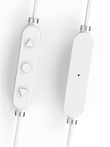 FiiO FB1 Wireless Earbuds,Bluetooth 4.1 Headphones Earphones Sports Earbuds w/Mic for in-Ear Earphones Headsets with aptX/AAC/SBC Support