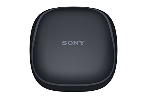 Sony WF-SP700NB Black Wireless Headphones